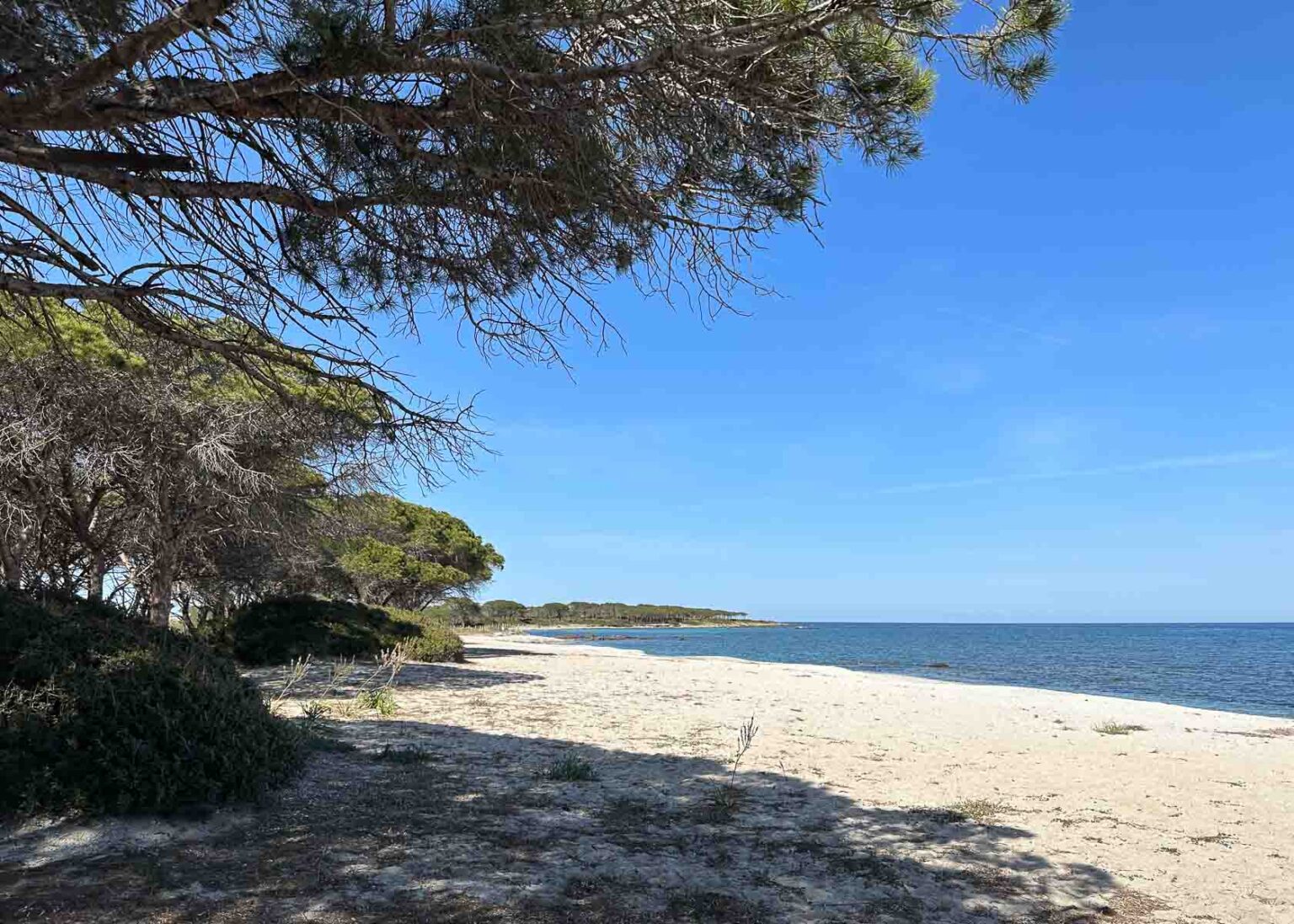 Beim Camping Sardinien mit dem Wohnmobil entdecken: Route, Tipps und ...