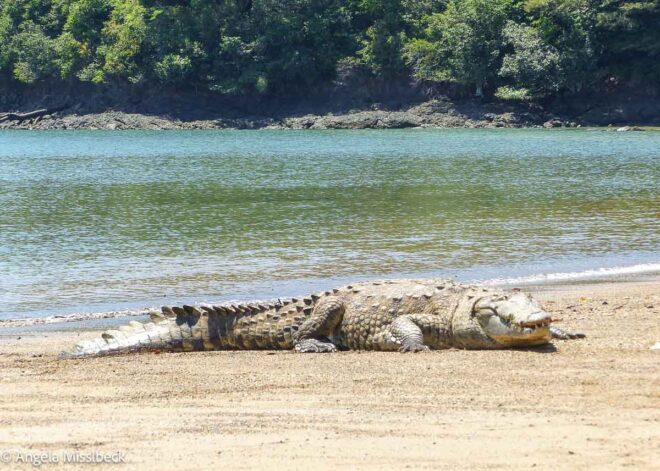 Unsere Panama Top 10: Die schönsten Strände und Highlights